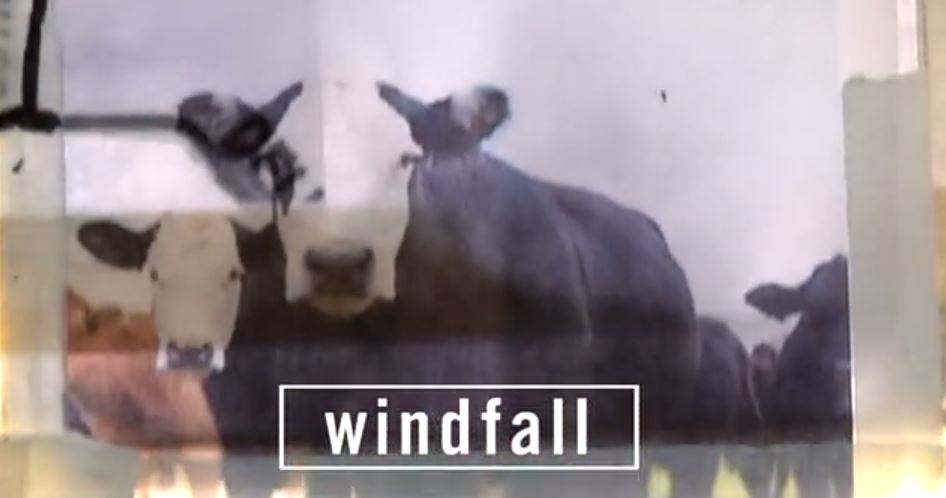 WINDFALL MOVIE – Wind Locked, LLC